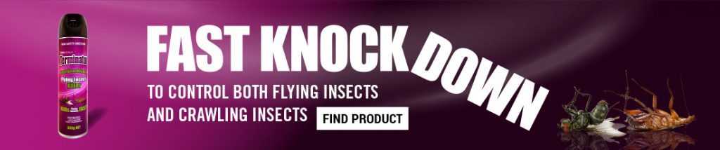 Terminator Insect Spray